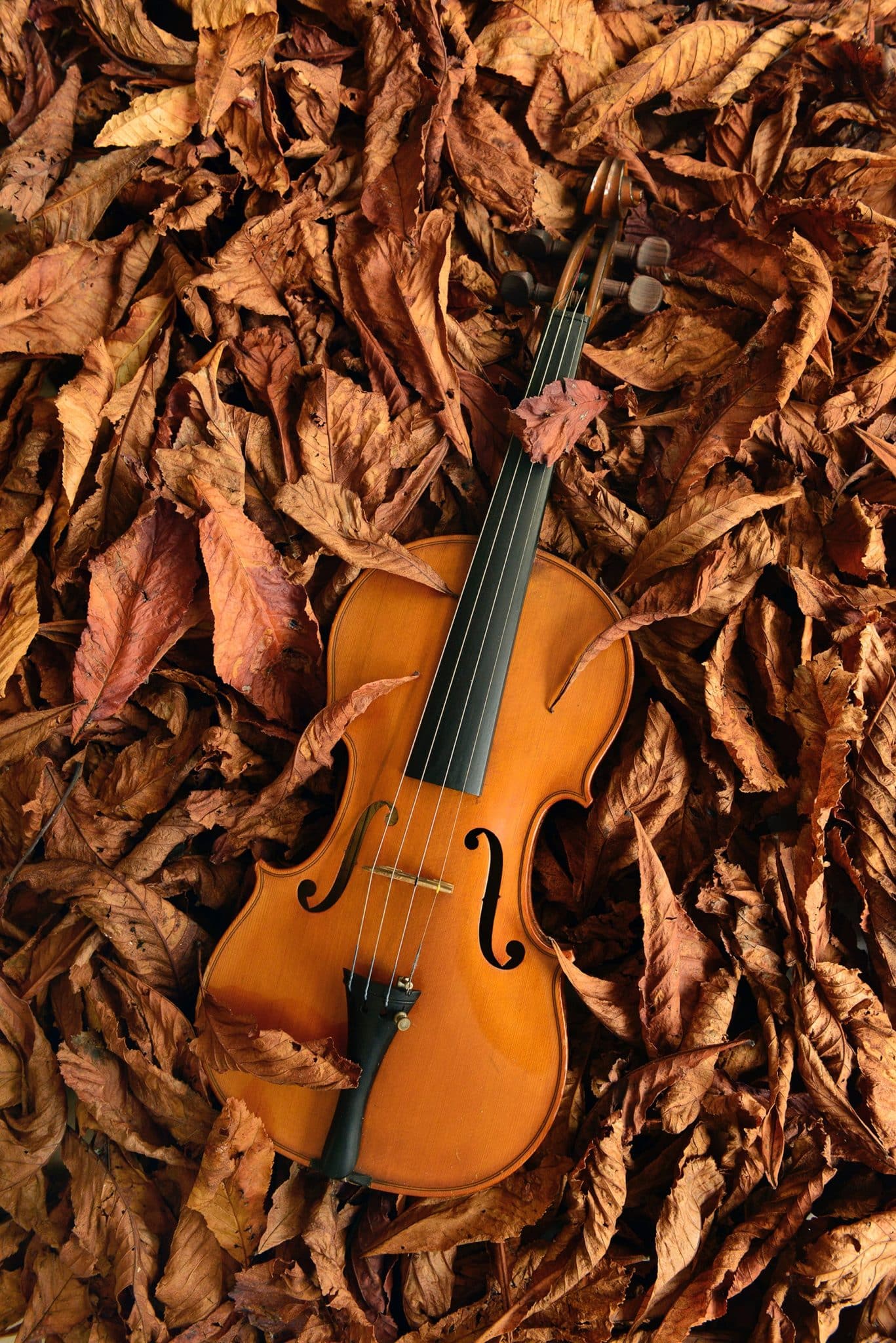 Top 10 Violin Songs For A Wedding | For